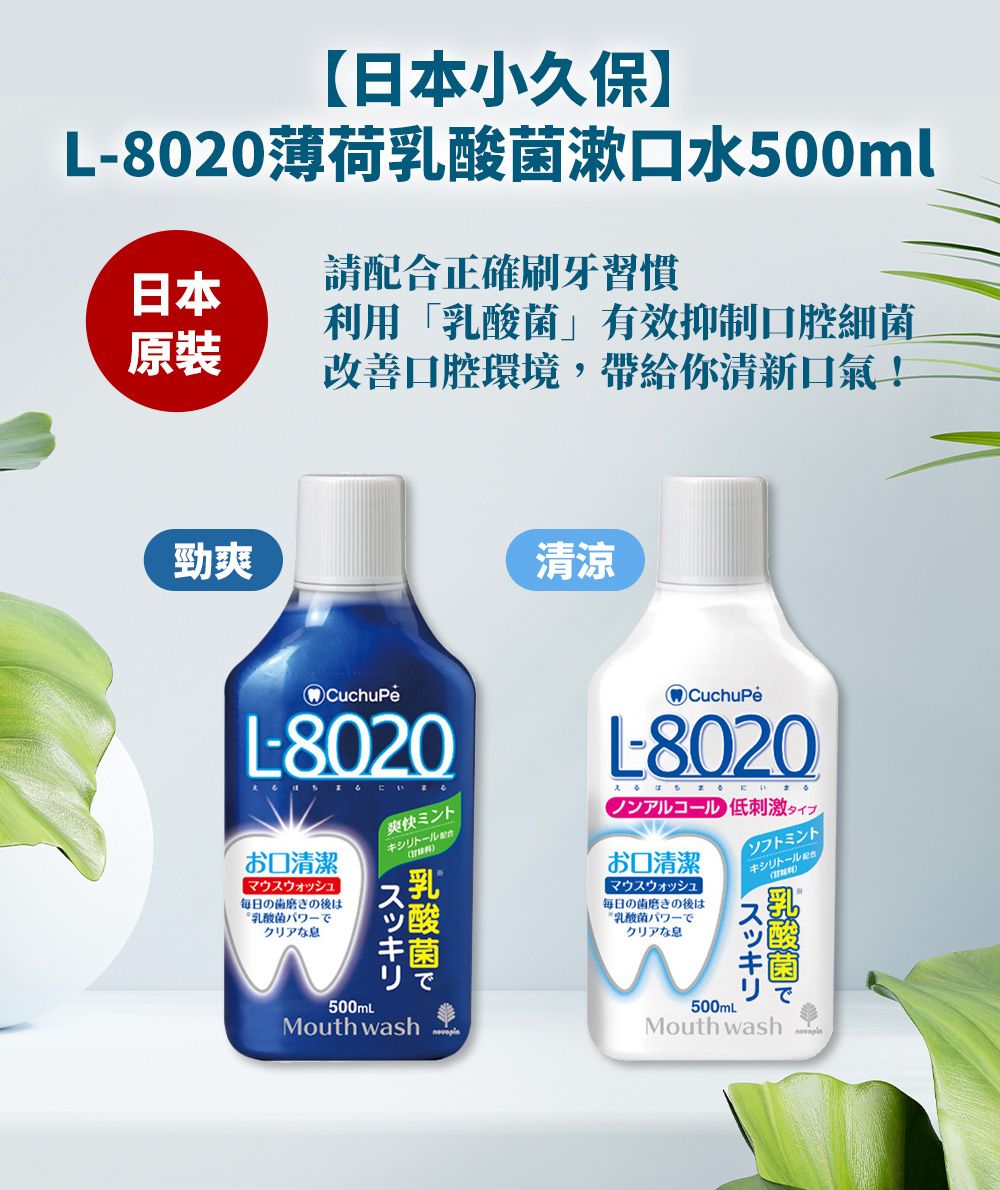 KOKUBO 小久保 日本- L-8020清涼薄荷乳酸菌漱口水500ml - PChome 24h購物