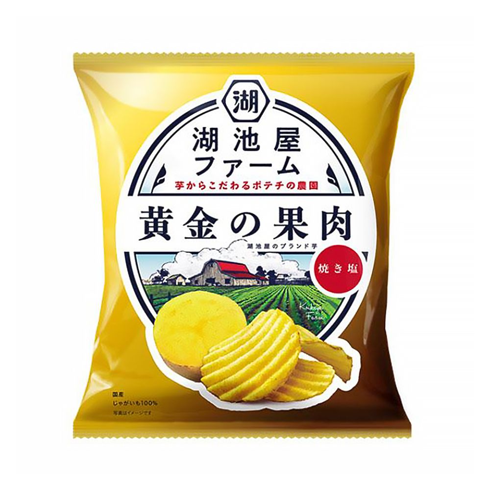 日本湖池屋 鹽味黃金洋芋片55g - PChome 24h購物