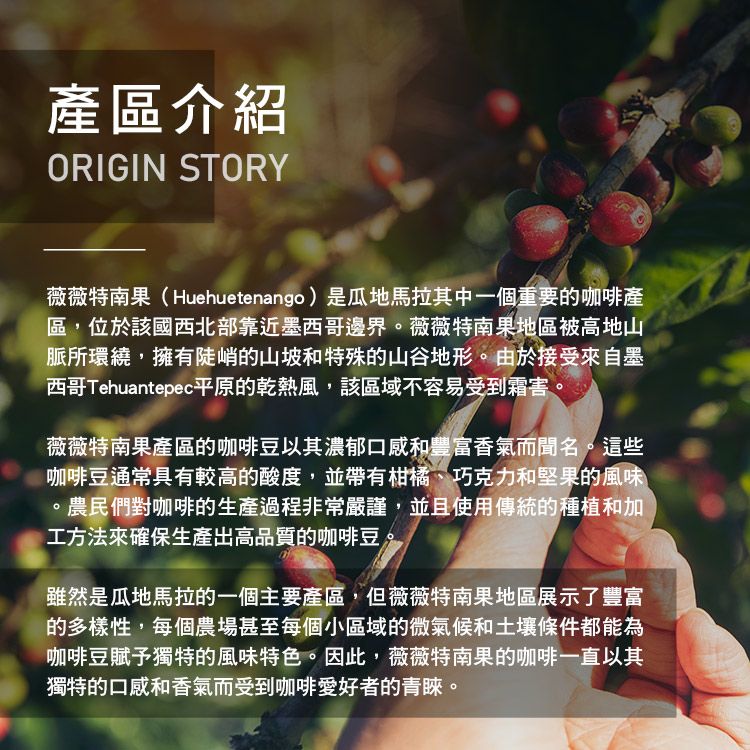 CoFeel 凱飛薇薇特南果咖啡豆-中烘焙(227g/包) - PChome 24h購物