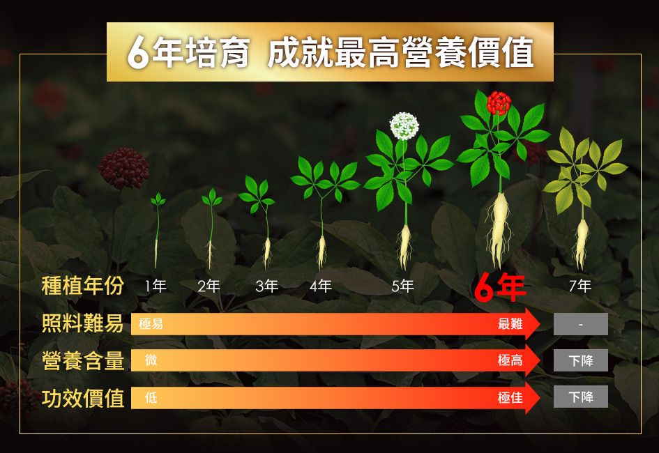 funcare 船井 6X活力瑪卡王膠囊EX 40顆/盒x3 - PChome 24h購物