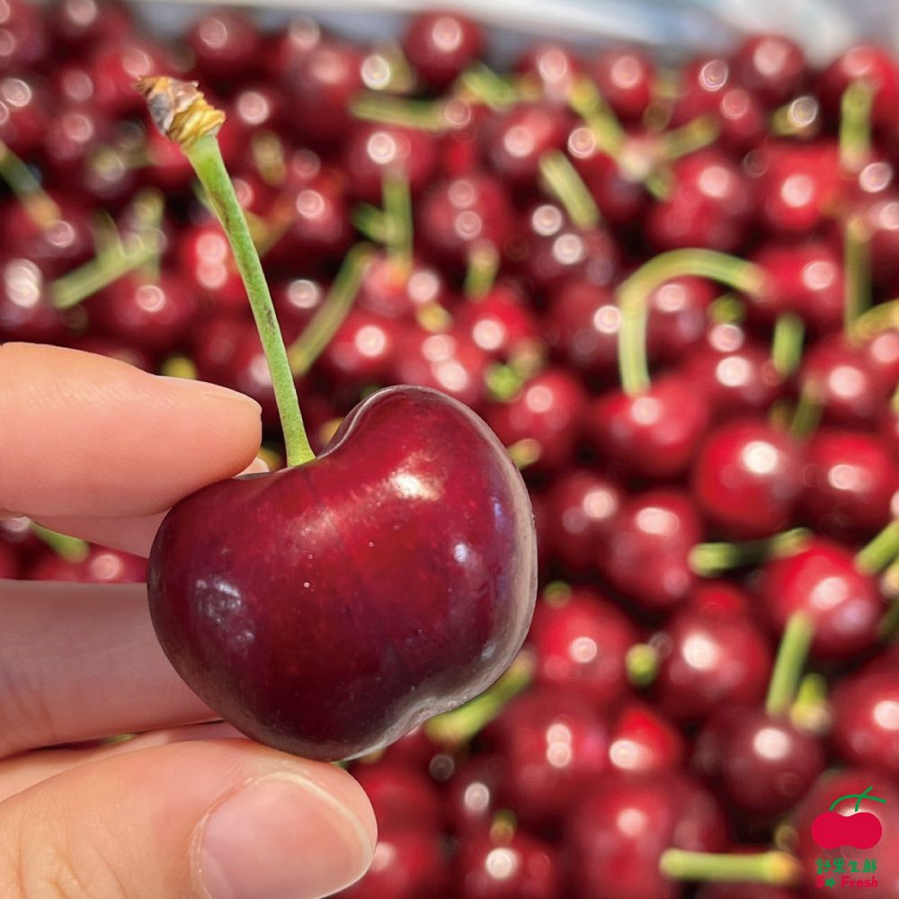 【舒果SoFresh】美國華盛頓櫻桃#9.5R_2公斤禮盒*1盒(約2kg/禮盒_空運櫻桃_冷藏配送) - PChome 24h購物