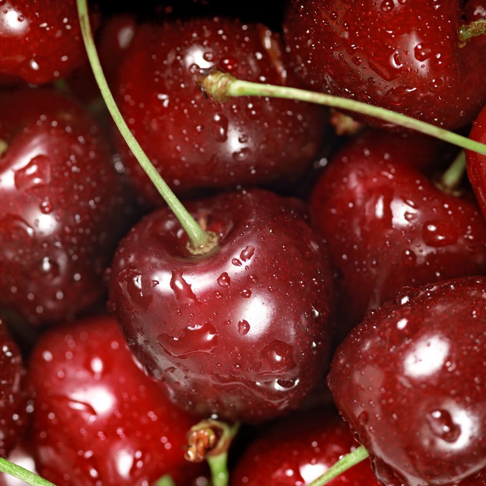 RealShop 真食材本舖 空運華盛頓8.5R西北櫻桃 5kg±10% 原裝箱 - PChome 24h購物