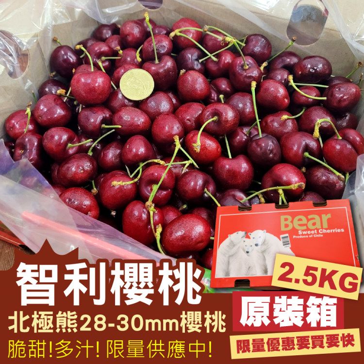 WANG蔬果 智利櫻桃大白熊2J/9.5R(2箱_原裝箱2.5kg) - PChome 24h購物