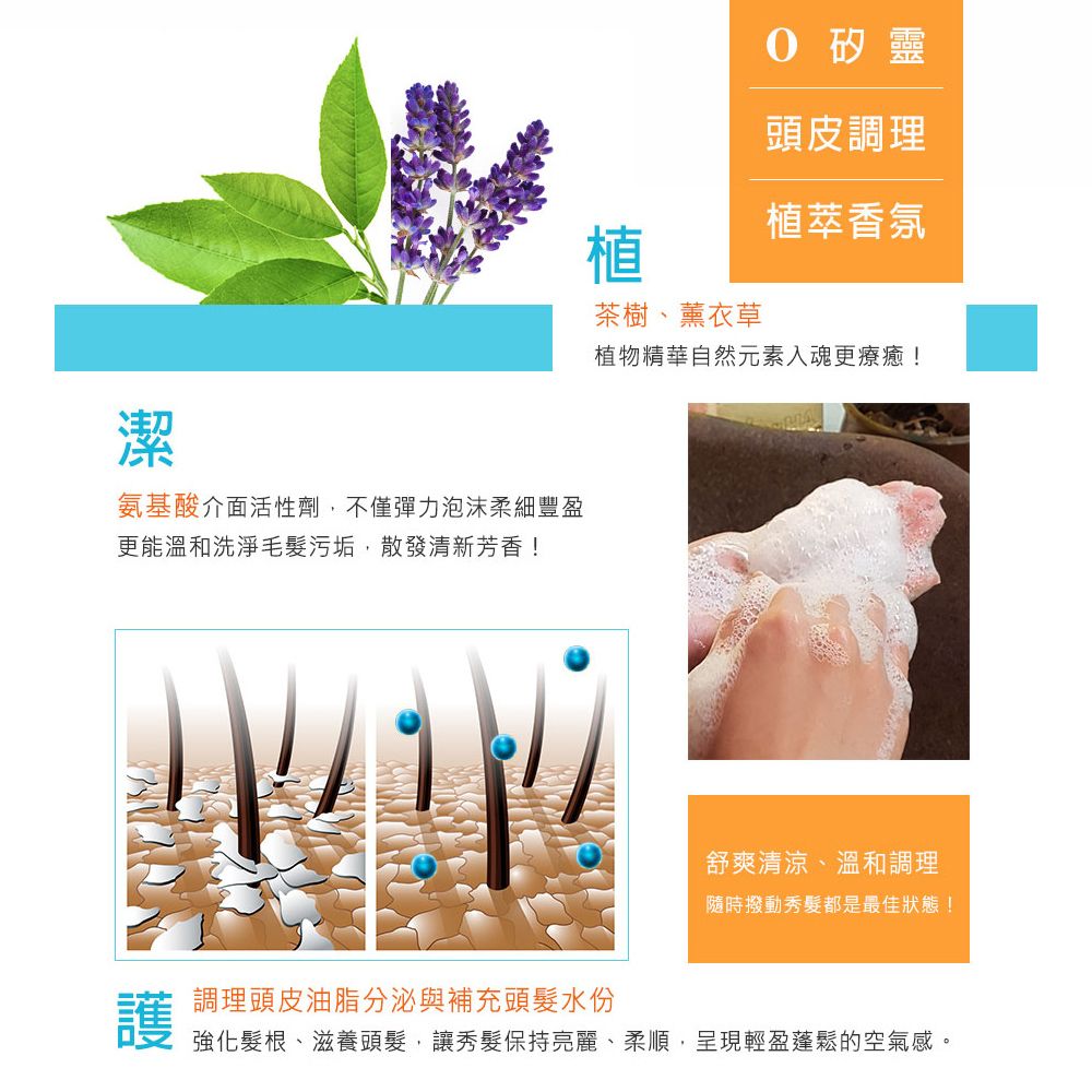 ARWIN 雅聞倍優 麗質抗屑洗髮精 950ml - PChome 24h購物