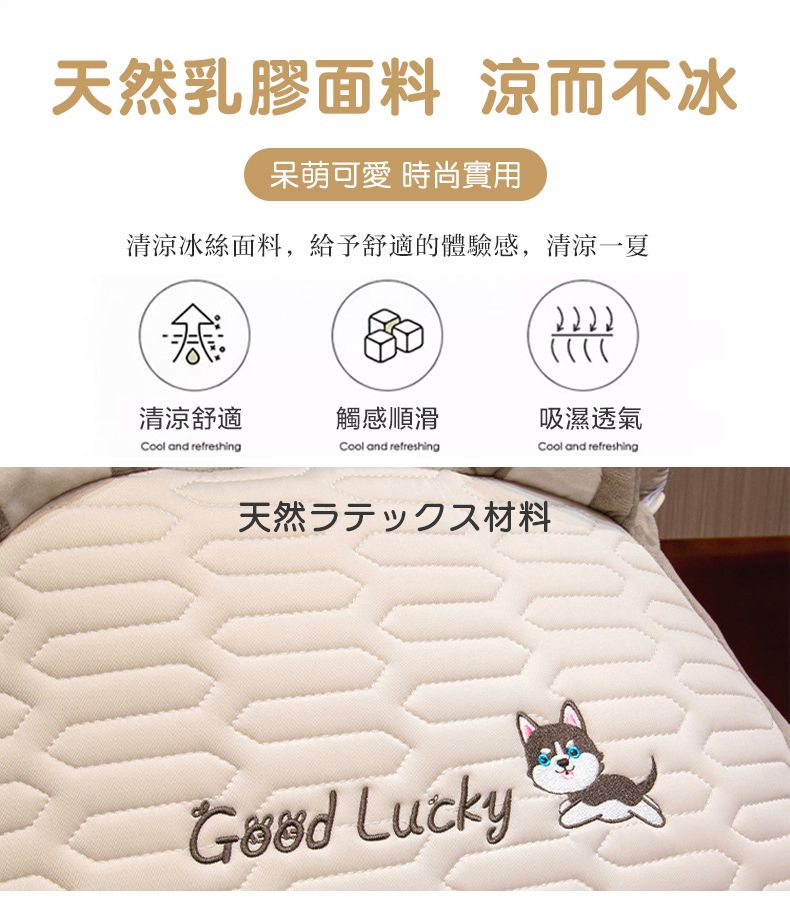 DaoDi 在地人 冰絲乳膠靠枕床頭靠枕特大號70x50cm(沙發靠墊/護腰靠枕/腰枕/腰靠枕 ) - PChome 24h購物