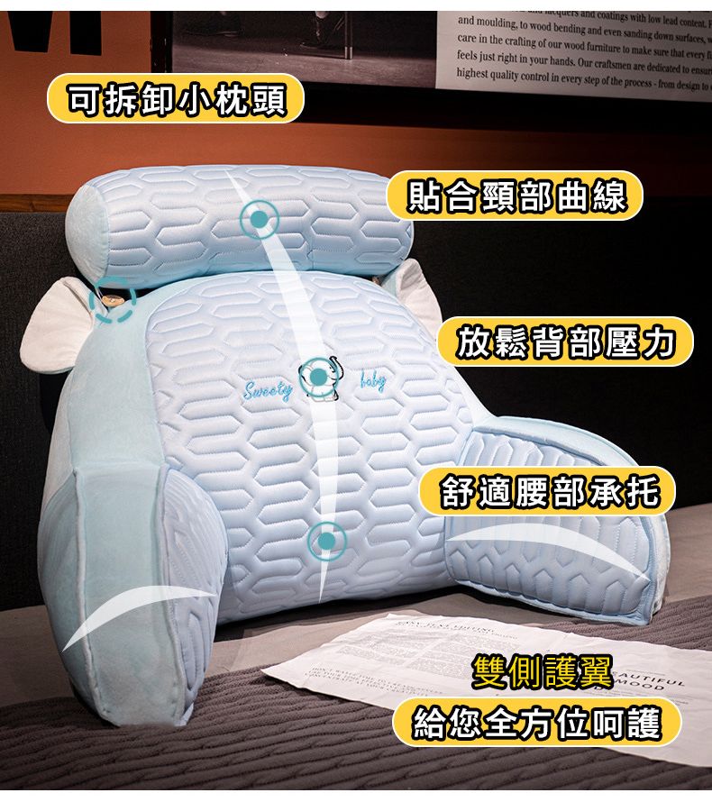 DaoDi 在地人 冰絲乳膠靠枕床頭靠枕特大號70x50cm(沙發靠墊/護腰靠枕/腰枕/腰靠枕 ) - PChome 24h購物