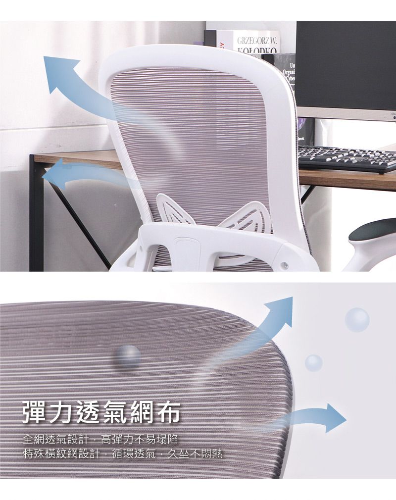 LOGIS 邏爵 莫蘭迪人體工學電腦椅 辦公椅 網椅 書桌椅 電競椅 家用椅【R70J】 - PChome 24h購物