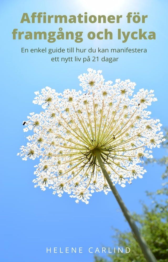 Affirmationer för framgång och lycka - En enkel guide till hur du kan ...