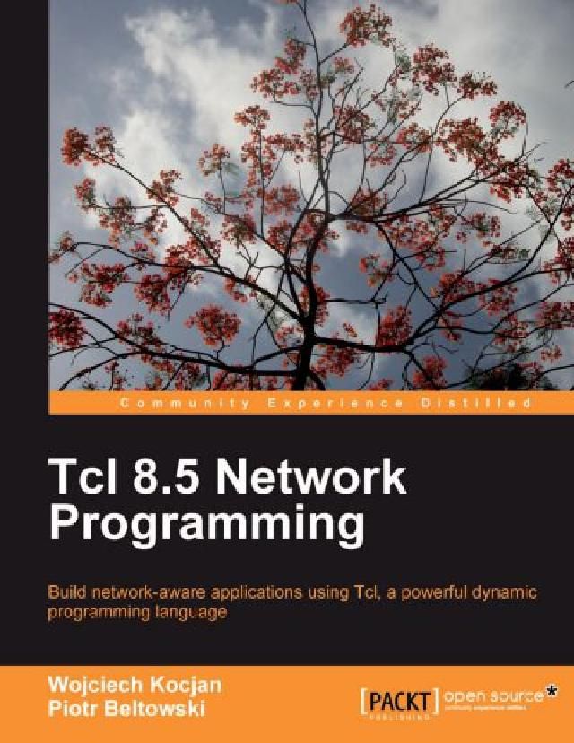 HyRead Tcl 8.5 Network Programming(電子書) - PChome 24h購物
