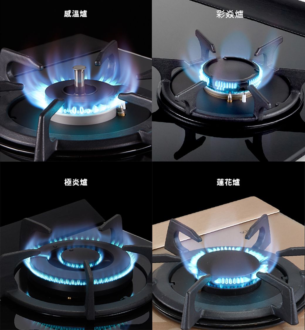 Rinnai 林內 雙口《台爐》內焰不鏽鋼瓦斯爐RTS-N201S 全台配送+基本安裝 原廠保固 - PChome 24h購物