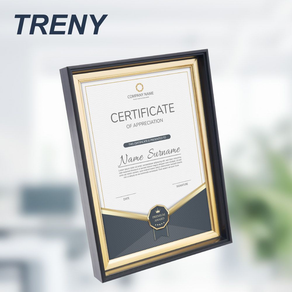 TRENY 現代款A4獎狀證書相框 - PChome 24h購物