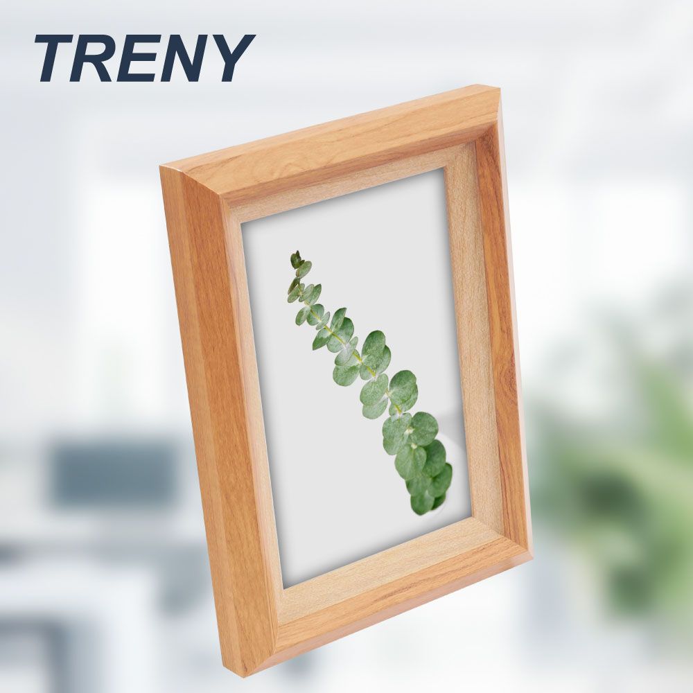 TRENY 雙色大賞4X6相框 - PChome 24h購物