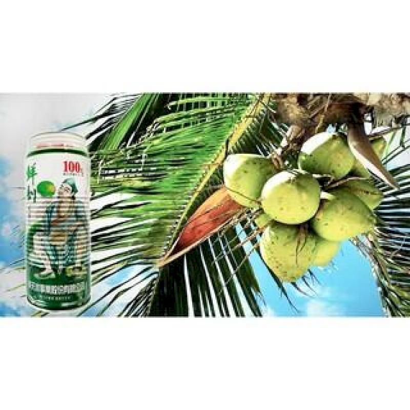 半天水 鮮剖100%純椰子汁(520ml x 24罐) - PChome 24h購物