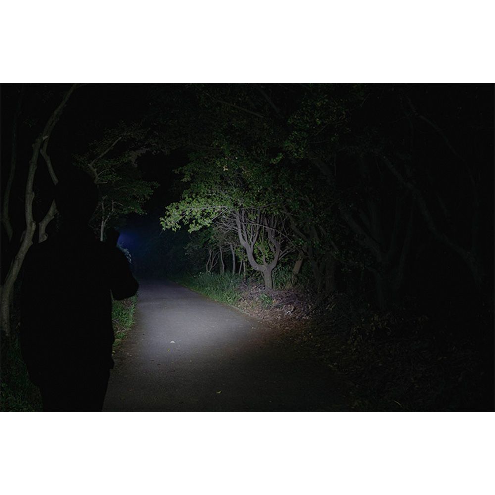 Gentos Rexeed 專業可調焦手電筒- 370流明 IP66(RX-032D) - PChome 24h購物